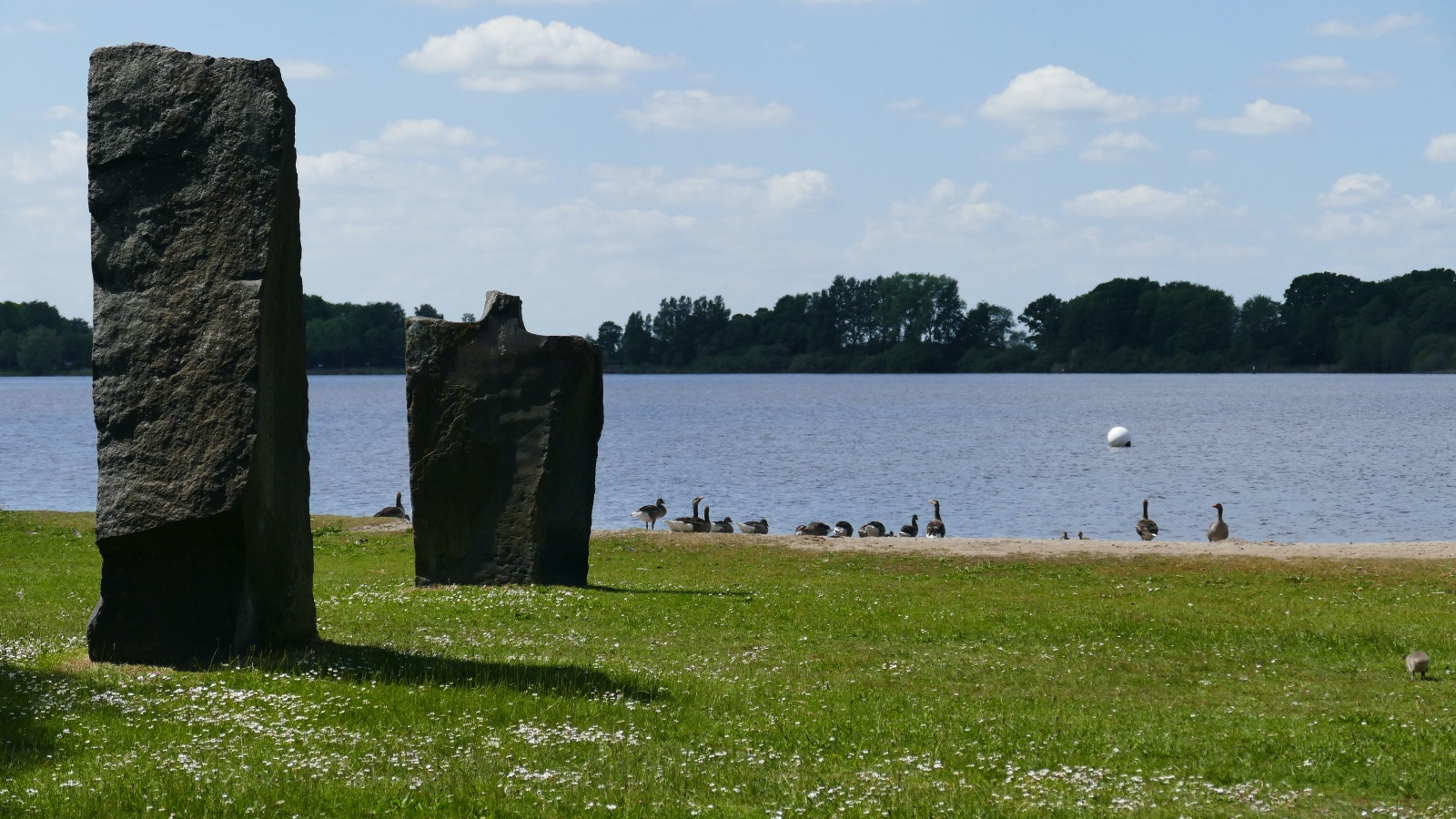 Einfelder See und Dosenmoor (Mai 2020) – Jardin de Wilmersdorf