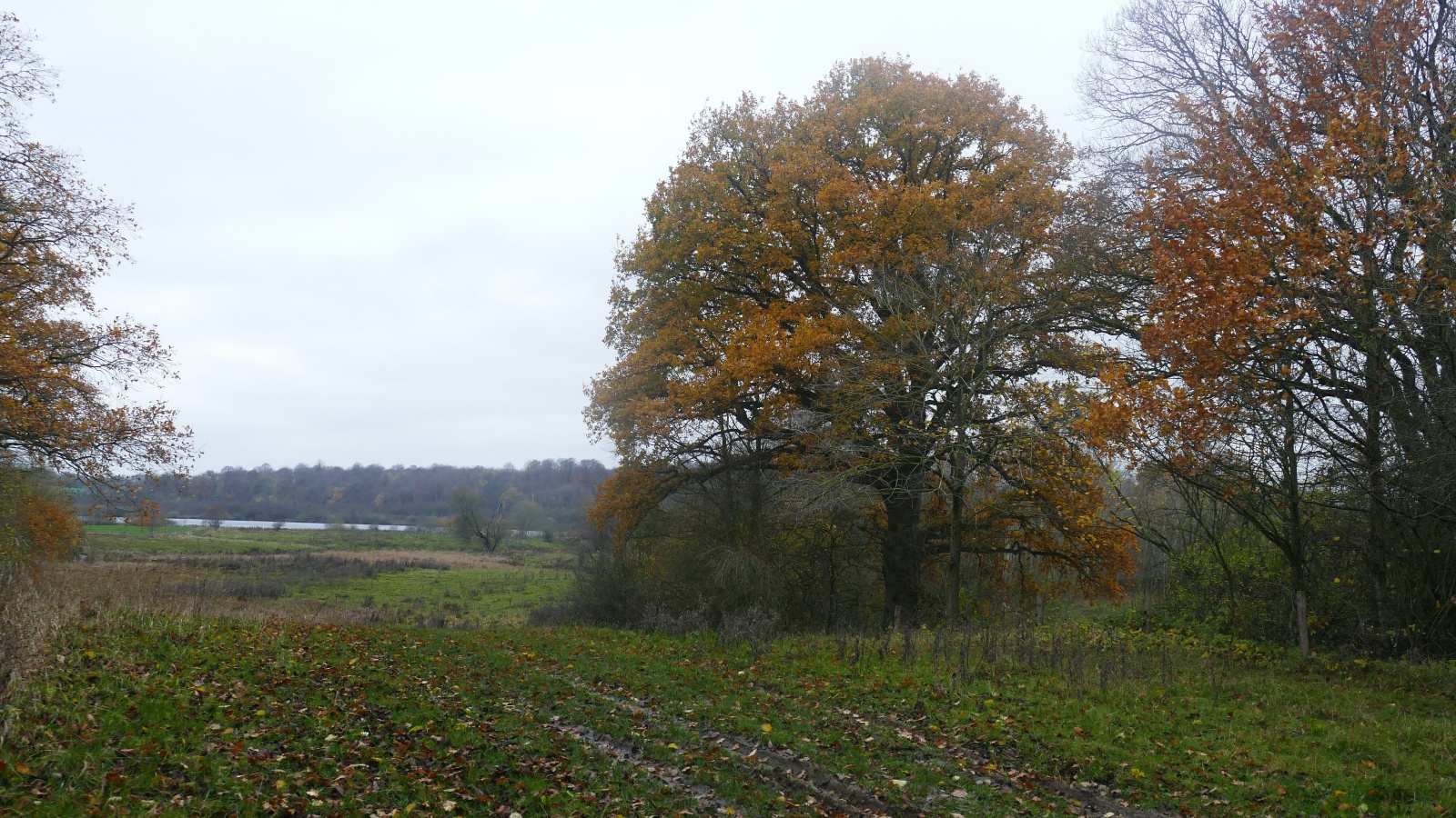 Bothkamp (Nov 20) – Jardin de Wilmersdorf