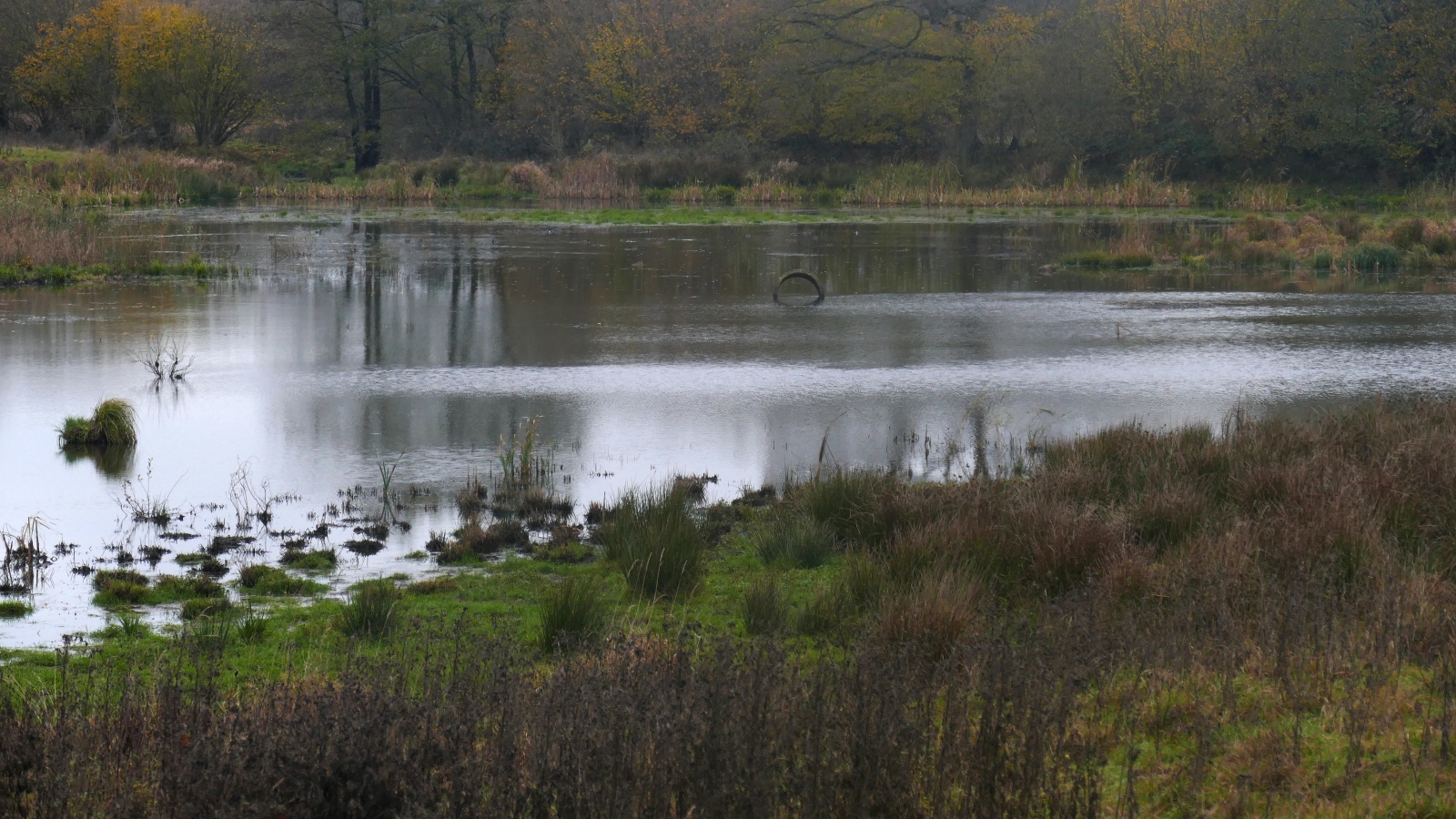 Bothkamp (Nov 20) – Jardin de Wilmersdorf